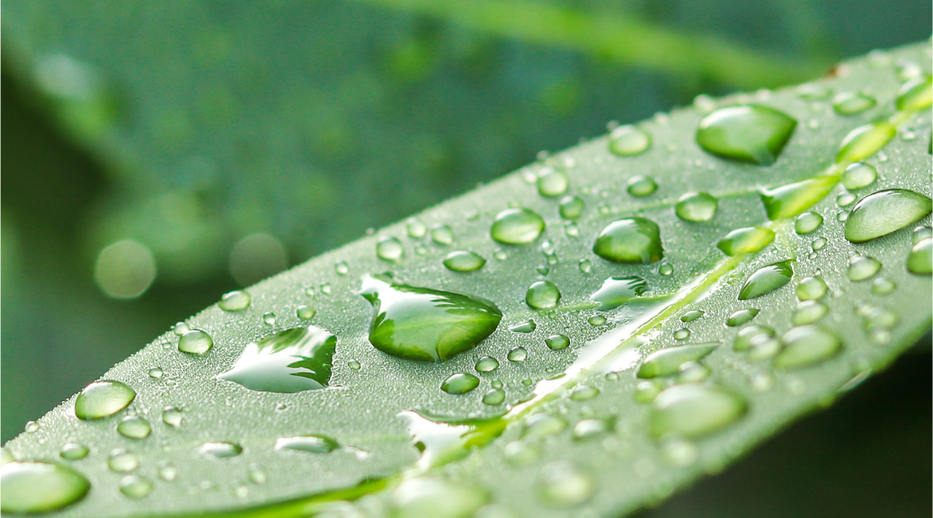 MenaQ7® Matrix, clean and natural protected Vitamin K2 from